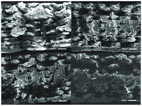 Simulated Section Morphology Of Printed Samples At Different Amplitudes