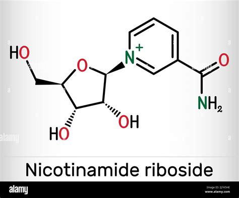 Vitamin B3 Vs Nicotinamide Riboside At Brian Soriano Blog