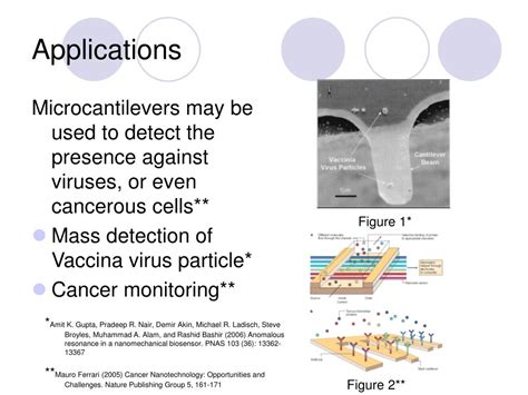 Ppt Microcantilever Based Biodetection Powerpoint Presentation Free Download Id283967