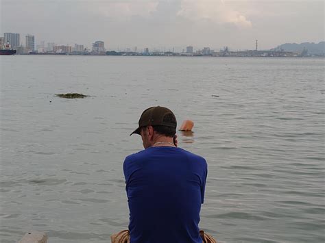 Latest Photo Samples On Xperia 1 Iv With Android 13 R Sonyxperia