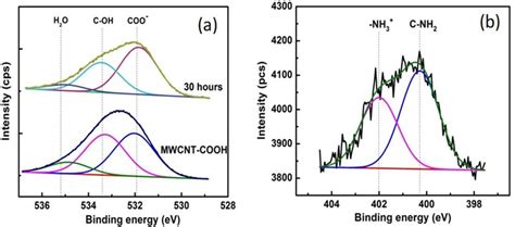 The Xps Deconvolution Spectra Of The A O1s And B N1s Core Level