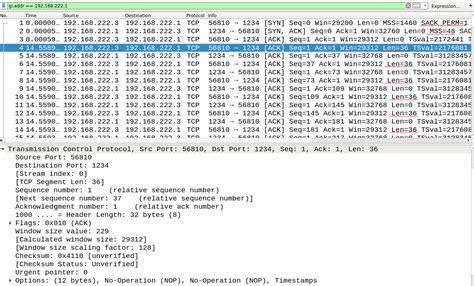 How To Detect The Sack Panic Vulnerability With Wireshark Pentest Blog