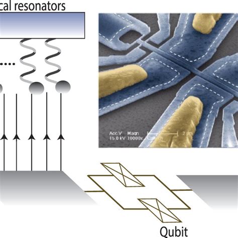 Scheme To Test CSL Induced Heating With An Array Of Qubit Coupled Download Scientific Diagram