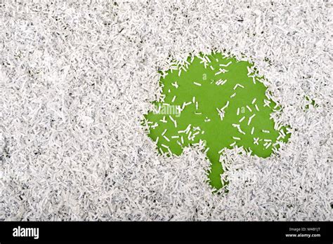 Green Tree Symbol Stock Photo Alamy