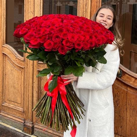 Каталог роза78.ру | Высокие розы