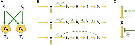 Frontiers Whats Next For Computational Systems Biology