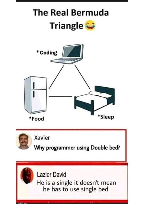 Pin By Stefano Durso On Programmer Programmer Humor Computer Humor
