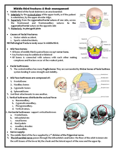 Zygomaticofrontal Suture Ct