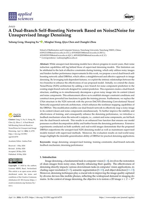 Pdf A Dual Branch Self Boosting Network Based On Noise2noise For