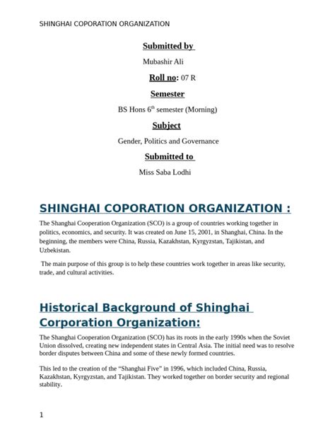 Mubashir Ali Assignment Pdf Global Politics International Relations