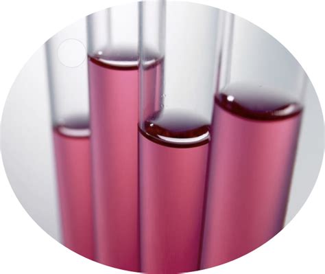 Compound Peroxymonosulphate Powder Shandong Xinuo Pharmaceutical Co