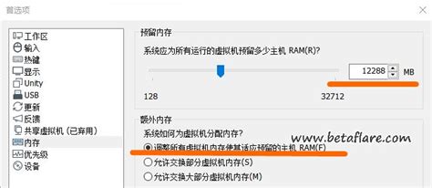 Vmware Workstation Unable To Create 2048 Mb Anonymous Paging File