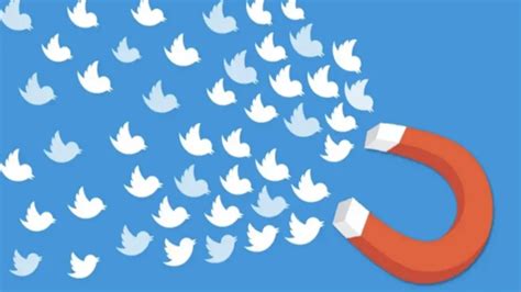 How To Find Your Real Time Twitter Follower Count 3 Best Sites