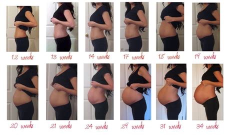 4 Weeks Pregnant Belly Artofit