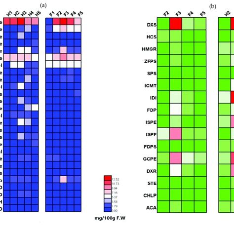 Schematic Representation Of Genetic Engineering Strategies For A