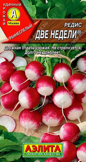 РЕДИС