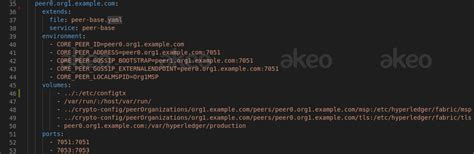 step by step guide to set up hyperledger fabric network by puneet