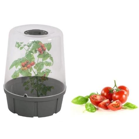 Kweekkas 25 X 32 Cm Hoog Webshop Tuinadvies