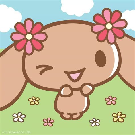 Happy Birthday To Mocha Of The Cinnamoangels Did You Know That Shes