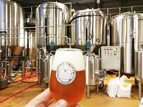 Understanding Beer Fermentation From Wort To Brewed Bliss Tiantai® Beer Brewing Brewery Equipment