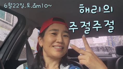 오늘은 비내리는 토요일 차안에서 ~🐂🐖😭 Youtube