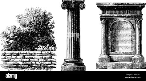 Architectural Elements And Nature Engraved Illustrations Of Column