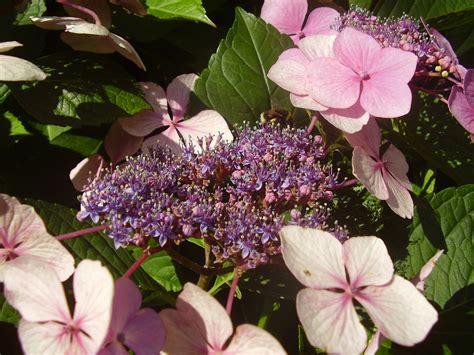 Partial Shadow By Ganox On Deviantart