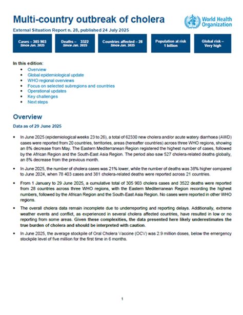 Who Multi Country Outbreak Of Cholera External Situation Report 28