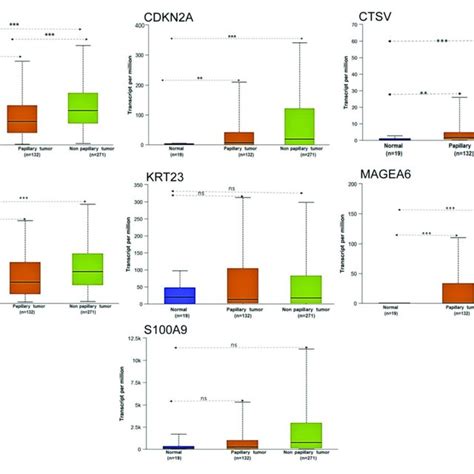Expression Of Seven Gene Subset In Bladder Cancer Based On Histologic Download Scientific
