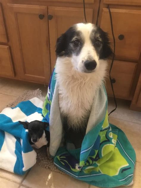Best Friends Take Baths Together Aww