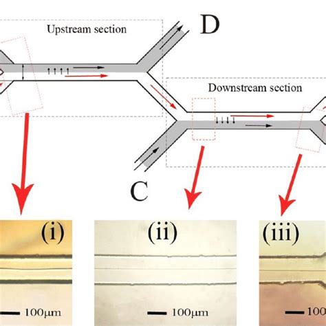 Glass Surface Modification And Laminar Flow Of The Successive Flow Download Scientific Diagram