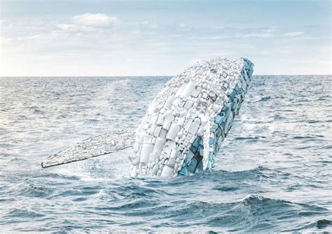 A Whale Made By Plastic Items Jumps Out Of The Water Behance