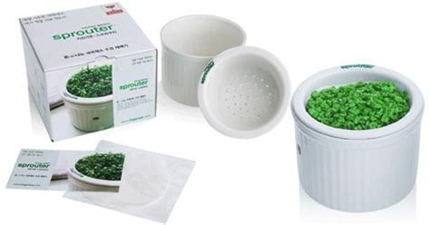 귀한 몸된 채소④ 채소값 고공 행진 속 채소 재배기 인기