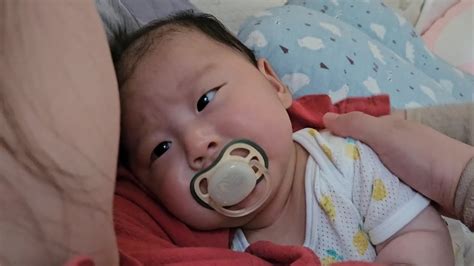 팔베개로 용용이 재우기 88일차240608 Youtube