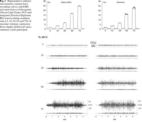 Representative Submaximal Isometric Constant Force Recordings Above