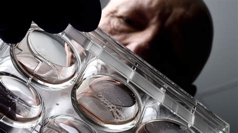 ‘organoid Intelligence Could Create Brain Cell Led Computers Cnn