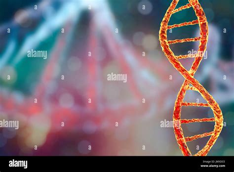 DNA Molecule Computer Artwork The Molecule Of DNA Deoxyribonucleic Acid Consists Of A Long