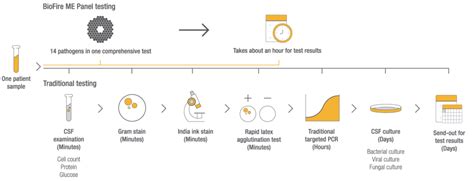 Meningitis Testing