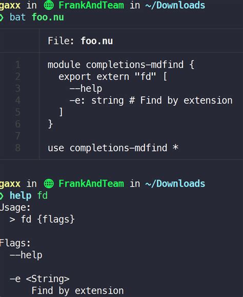 Support External Completions With ` Longoption` · Issue 5959 · Nushell