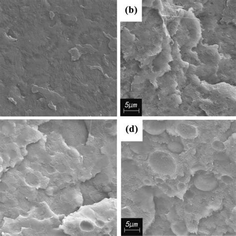 Sem Micrographs Of Fractured Surface Of Neat Hdpe And Hdpepec Blends Download Scientific