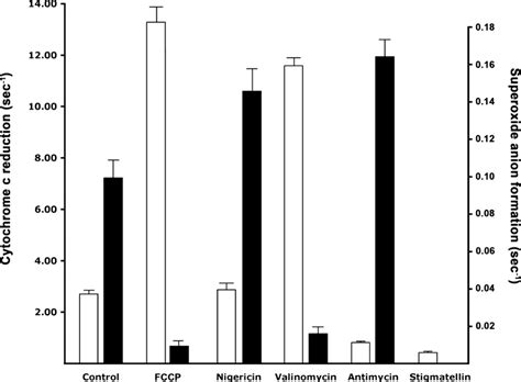 Rates Of Cytochrome C Reduction And Superoxide Anion Generation By The