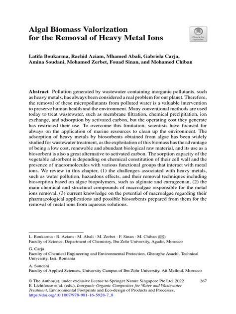 Chiban Et Al 2022 Pdf Adsorption Chemistry