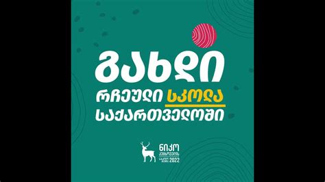 ნიკო კეცხოველის სასკოლო პრემია Youtube