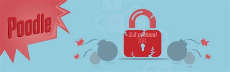 All You Need To Know About Poodle Vulnerability Indusface