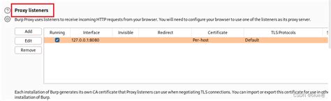 【burpsuite】proxy模块学习及案例操作 burp suite proxy csdn博客