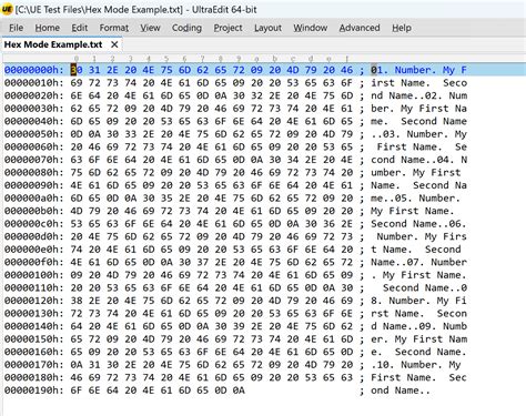 Powerful Hex And Binary Editing With Ultraedit Ultraedit Powerful Hex And Binary Editing With Ultraedit Ultraedit