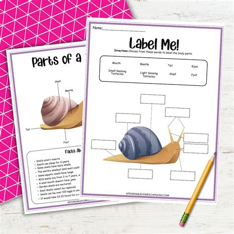 Free Addition To 20 Worksheets For Kindergarten And Preschool