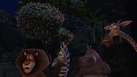 Madagascar Screencap Fancaps