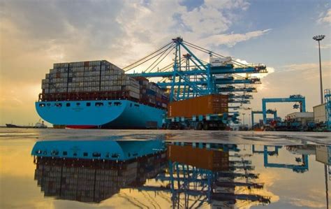Apm Terminals Ceo Investment Consolidation And Rationalization Needed In Port Industry