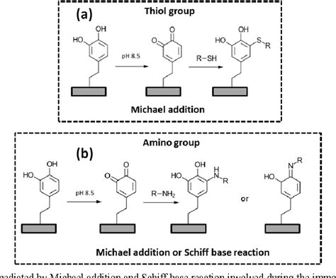 Table 1 From Polydopamine Modified Surfaces In Biosensor Applications